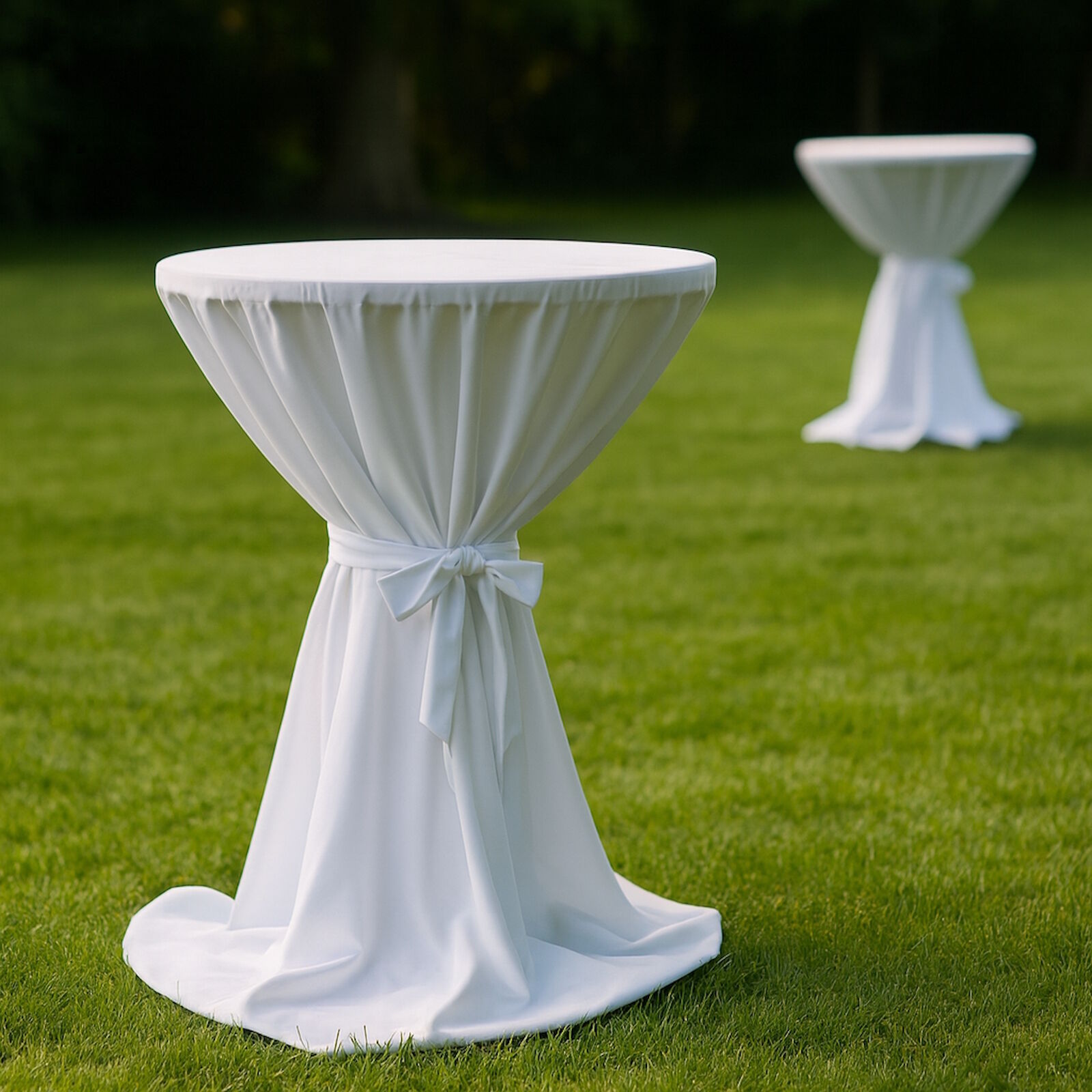 Baumwolle – Eigenschaften, Anbau und vielseitige Verwendung